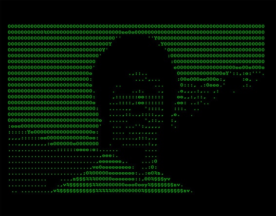  ASCII HISTORY OF MOVING IMAGES 1998 VUK OSI Jeu De Paume