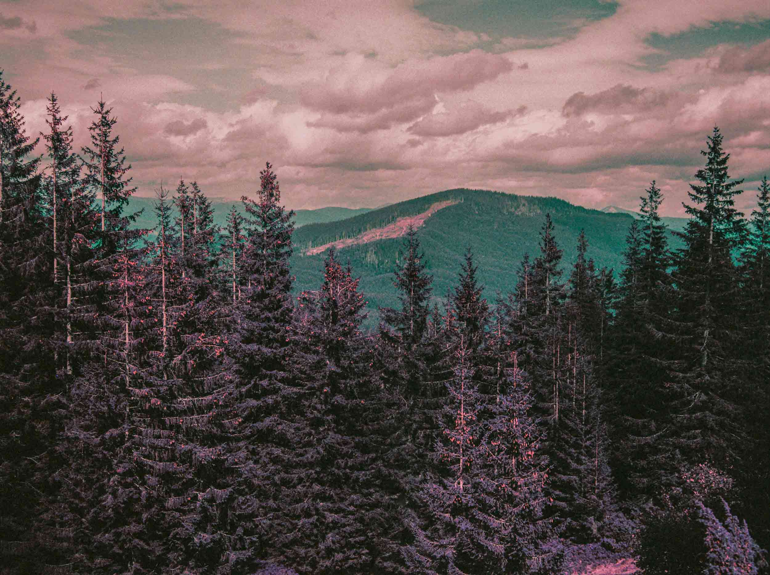 Textes de salles et cartels des œuvres - Jeu de Paume